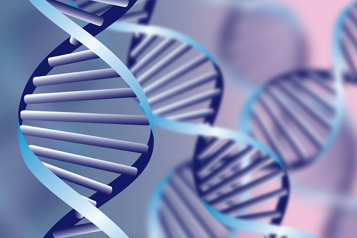 The Tool for Capturing Flag/HA/Myc-Tagged Proteins