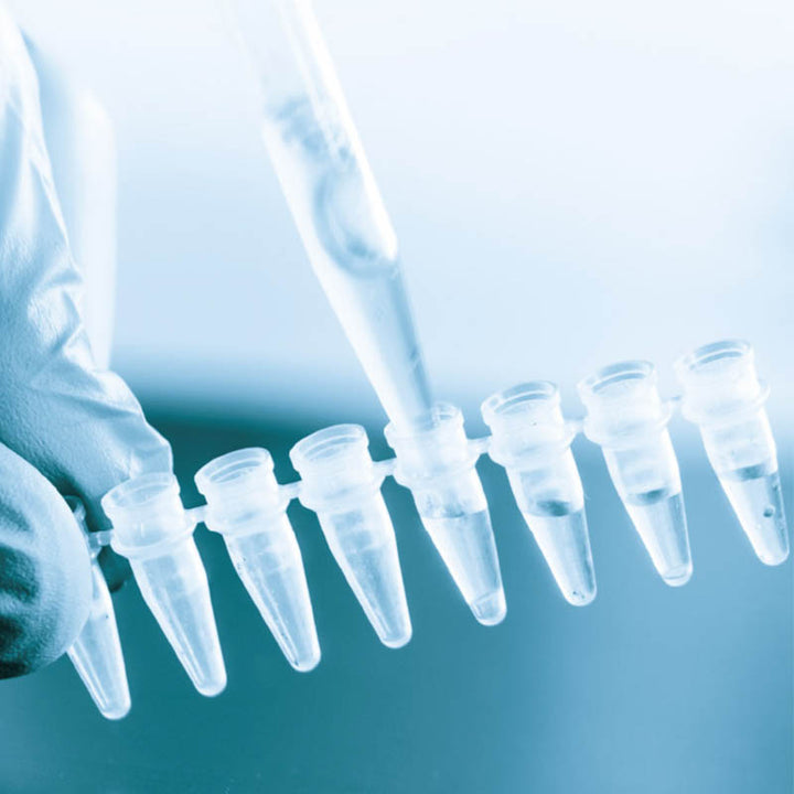 Yeasen - Leading Innovation in Molecular Enzymes and Reagents