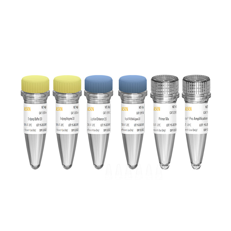 Yeasen - Leading Innovation in Molecular Enzymes and Reagents
