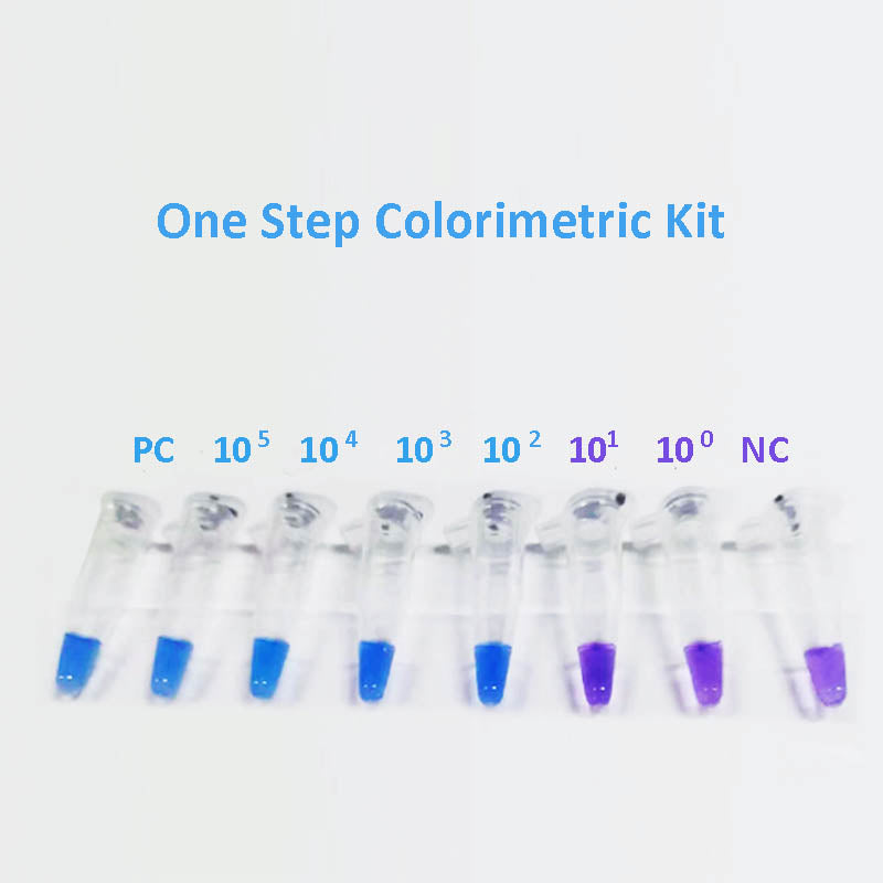 Colorimetric One-Step Mycoplasma Detection Kit (1G)