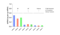 Yeasen-Molecular Enzymes and Reagents