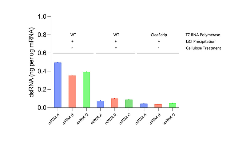 Yeasen-Molecular Enzymes and Reagents